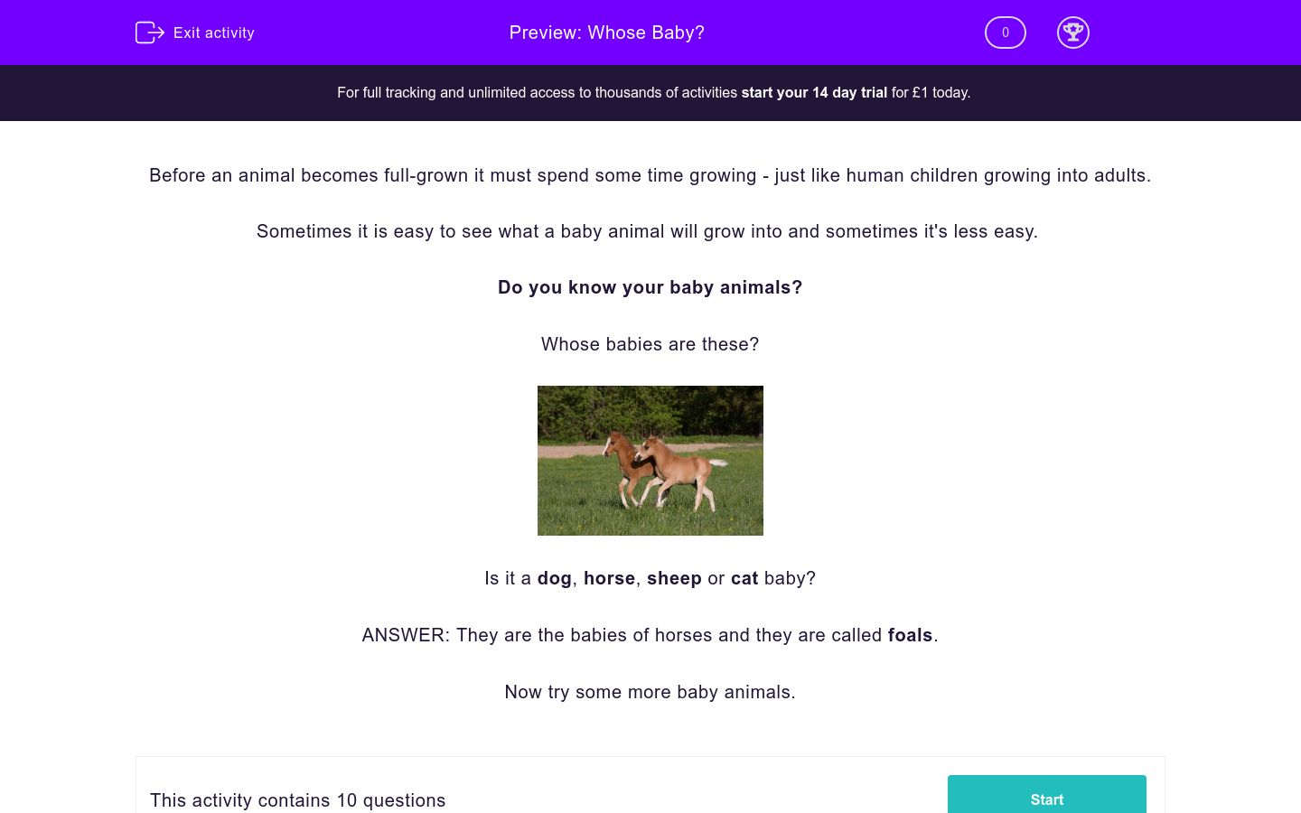 Whose Baby? Worksheet - EdPlace