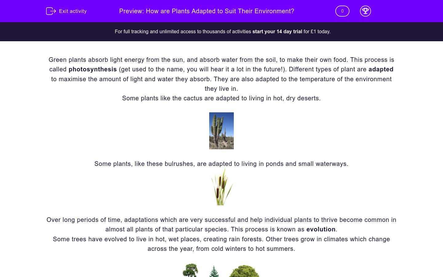 How are Plants Adapted to Suit Their Environment? Worksheet - EdPlace