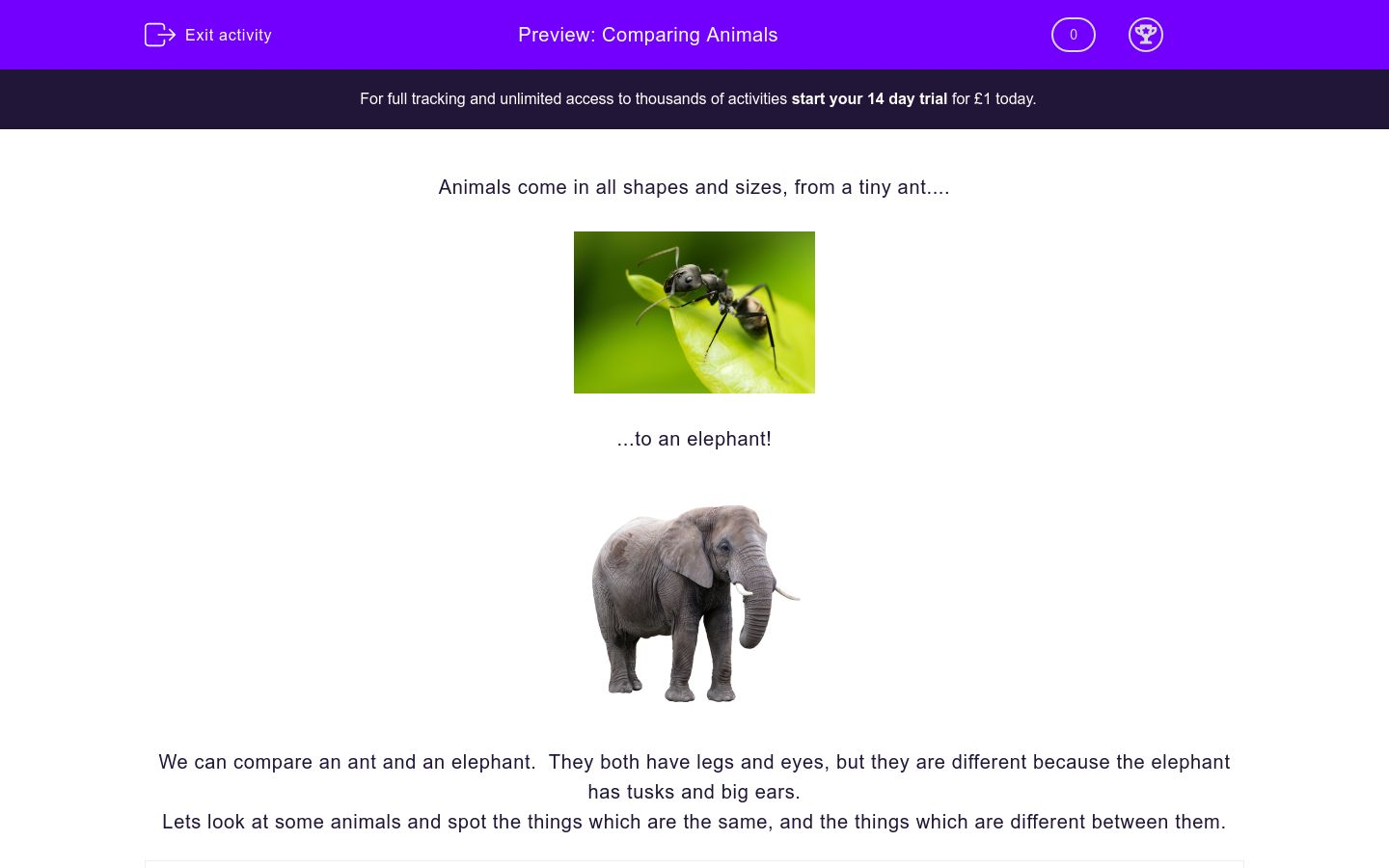 Comparing Animals Worksheet - EdPlace