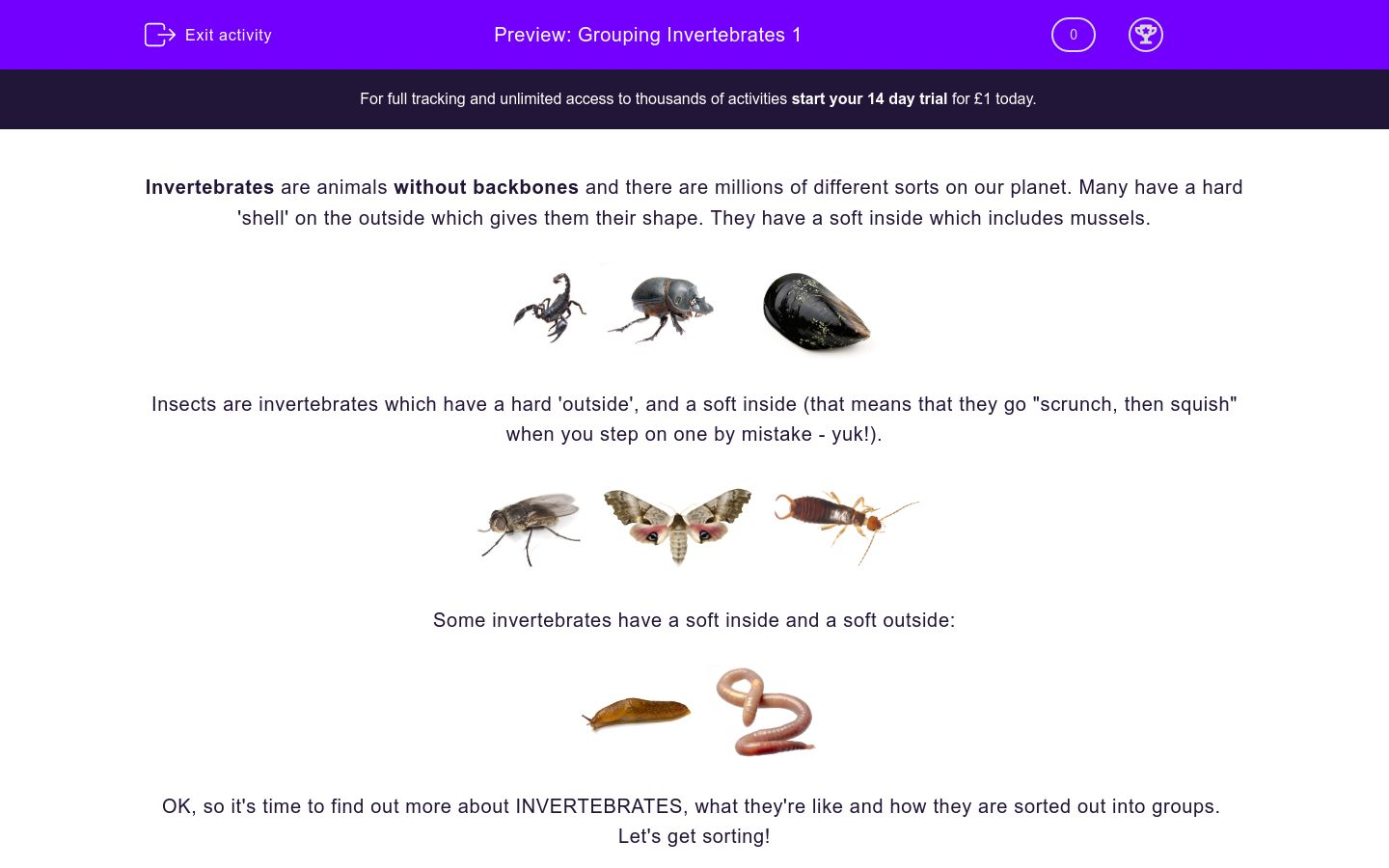 Grouping Invertebrates 1 Worksheet - EdPlace