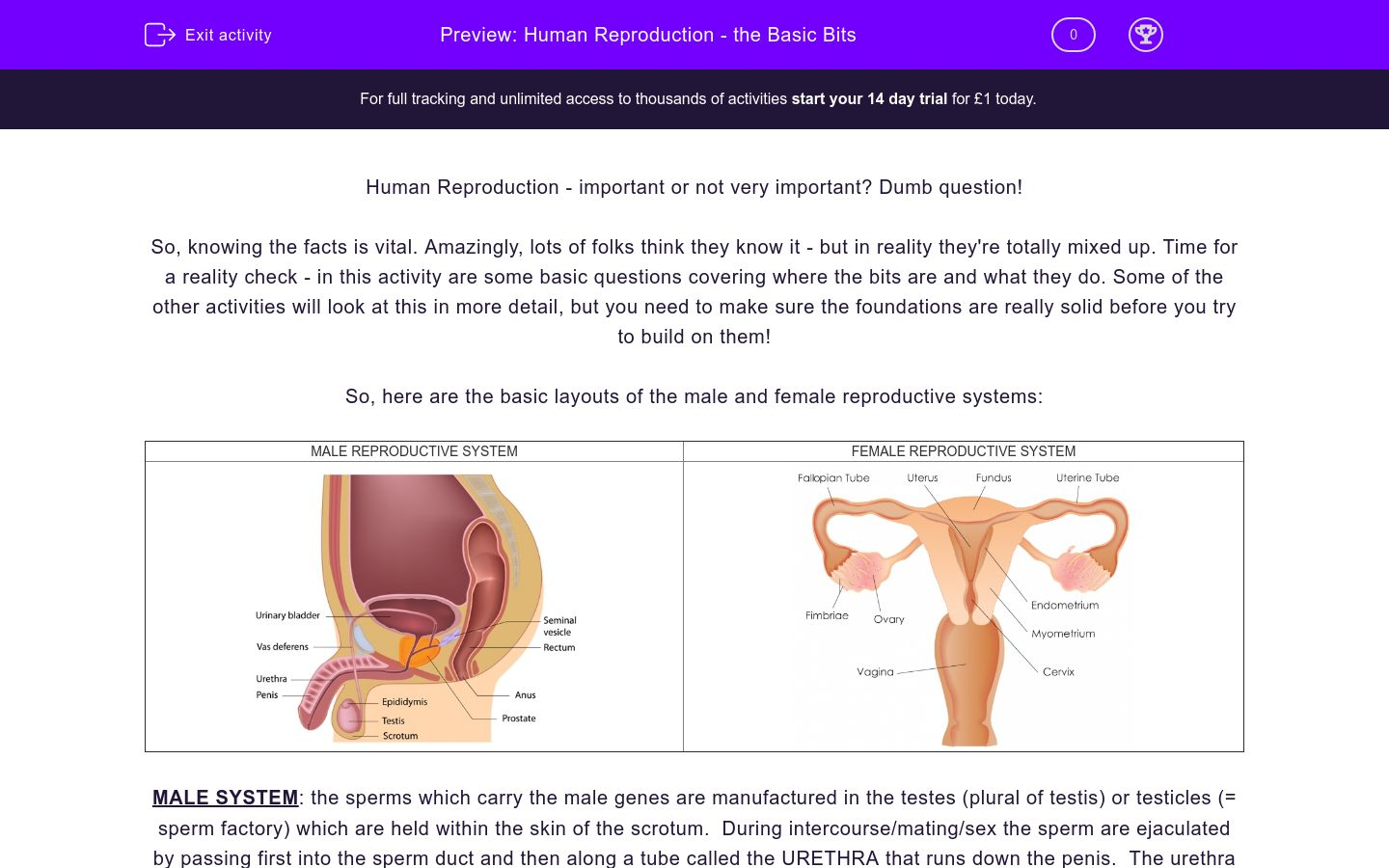 Human Reproduction The Basic Bits Worksheet EdPlace