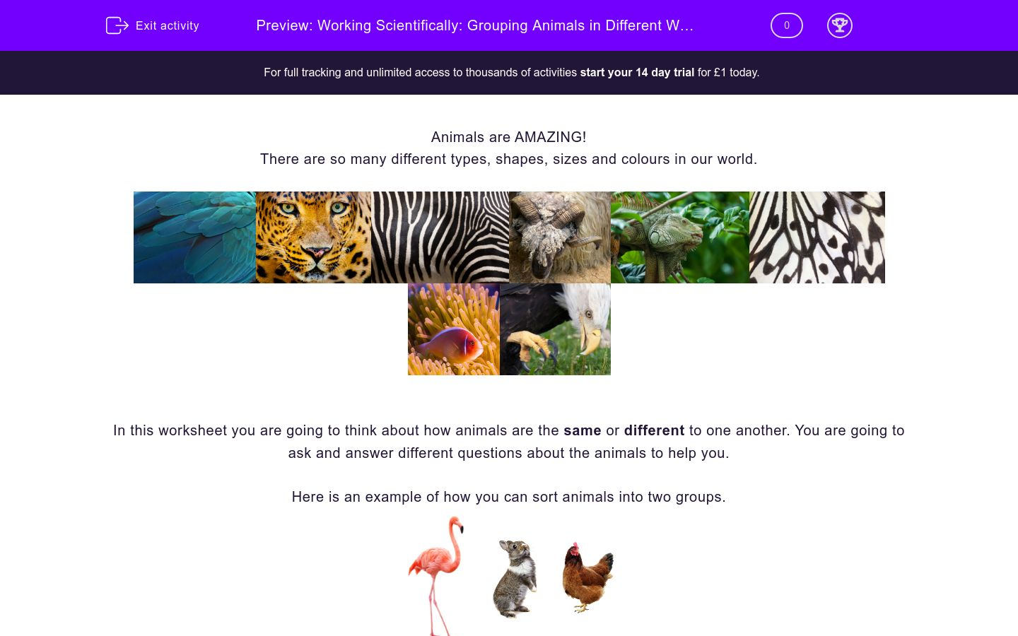 Working Scientifically: Grouping Animals in Different Ways 3 Worksheet ...