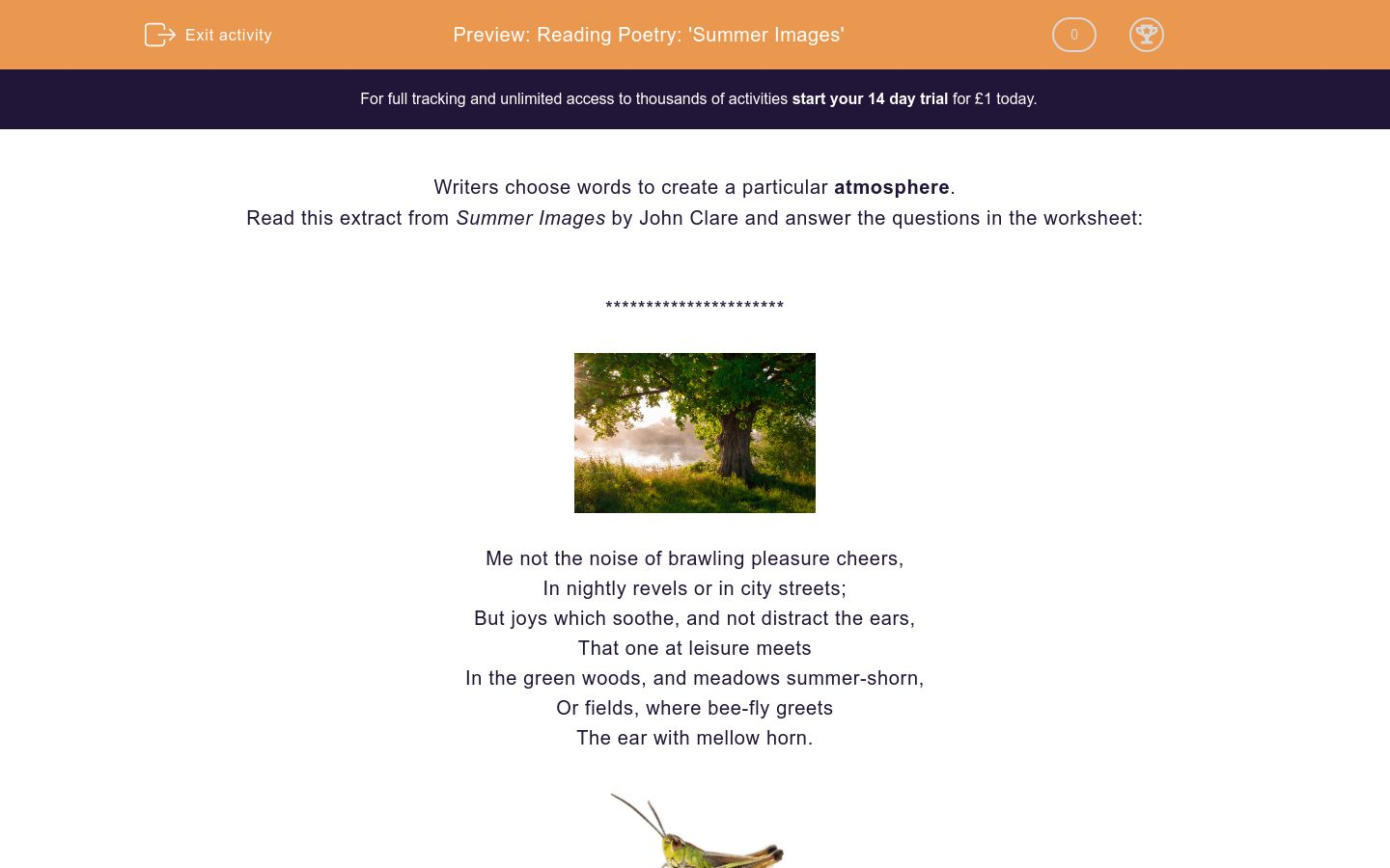 Reading Poetry: 'Summer Images' Worksheet - EdPlace
