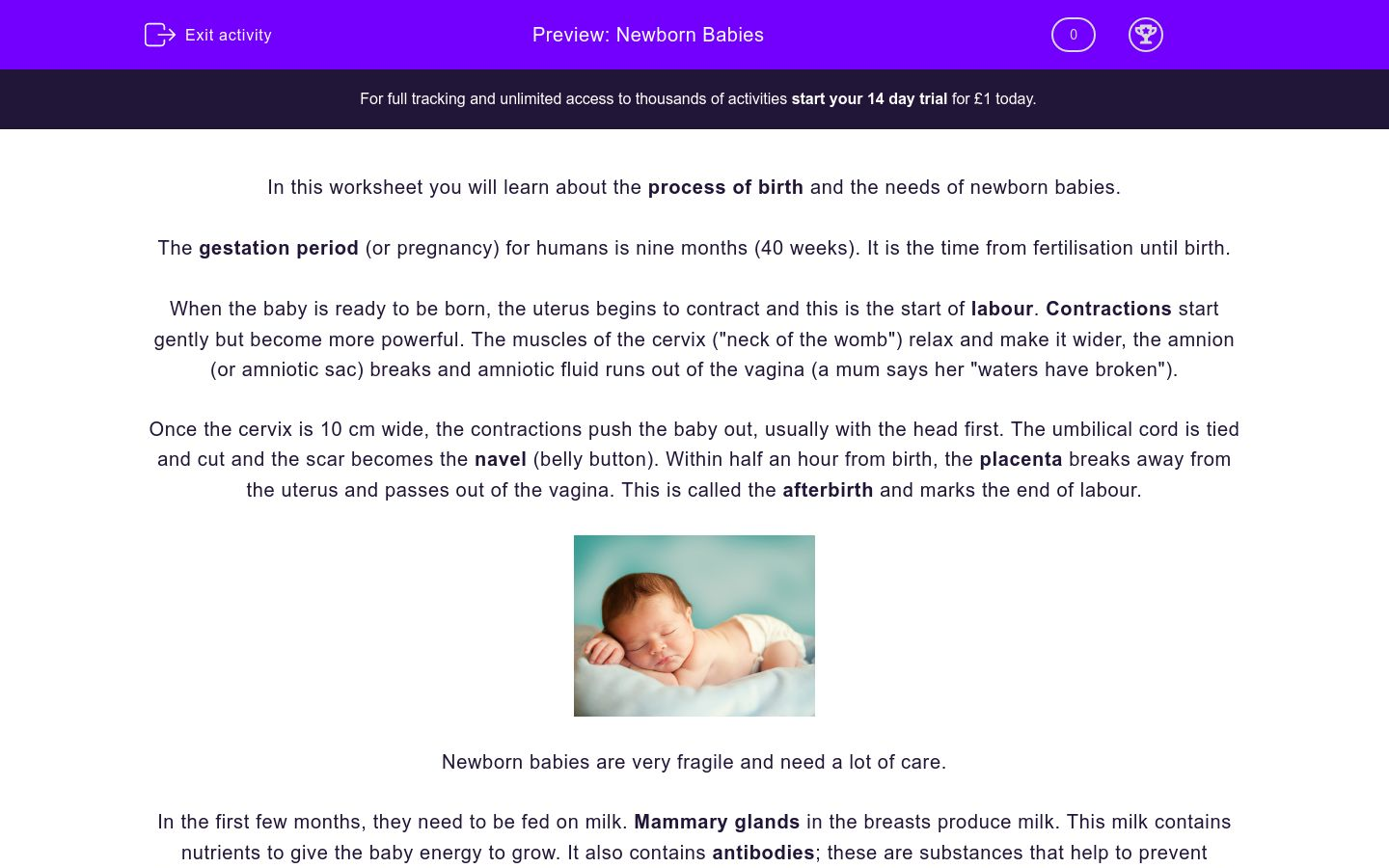 Newborn Babies Worksheet - EdPlace