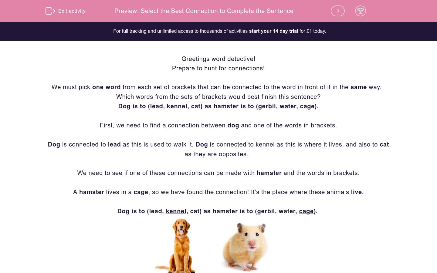 Select the Best Connection to Complete the Sentence Worksheet - EdPlace