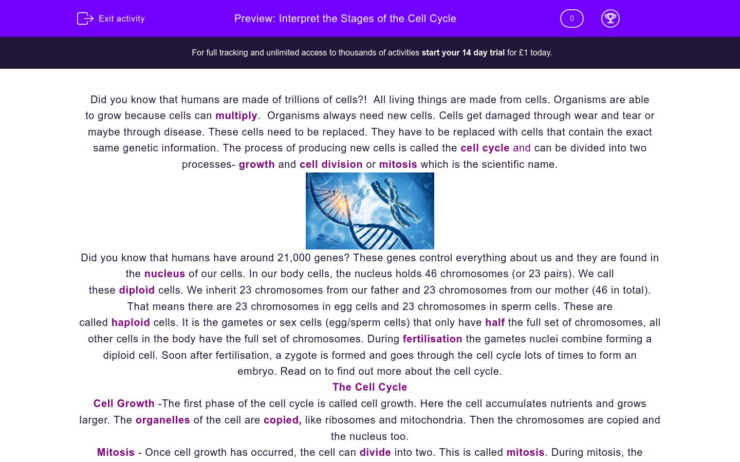 Interpret the Stages of the Cell Cycle Worksheet - EdPlace