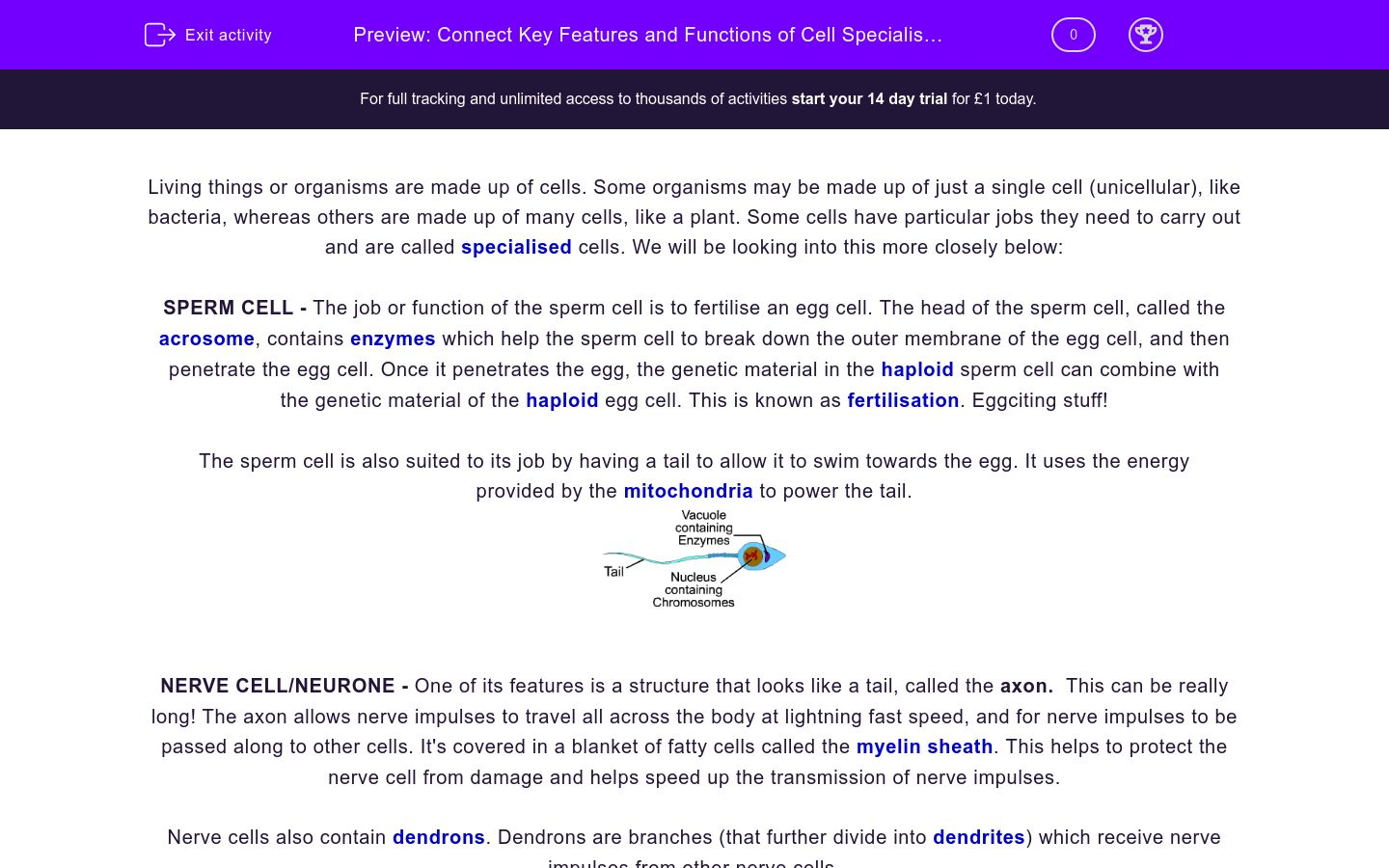 Connect Key Features and Functions of Cell Specialisation Worksheet ...