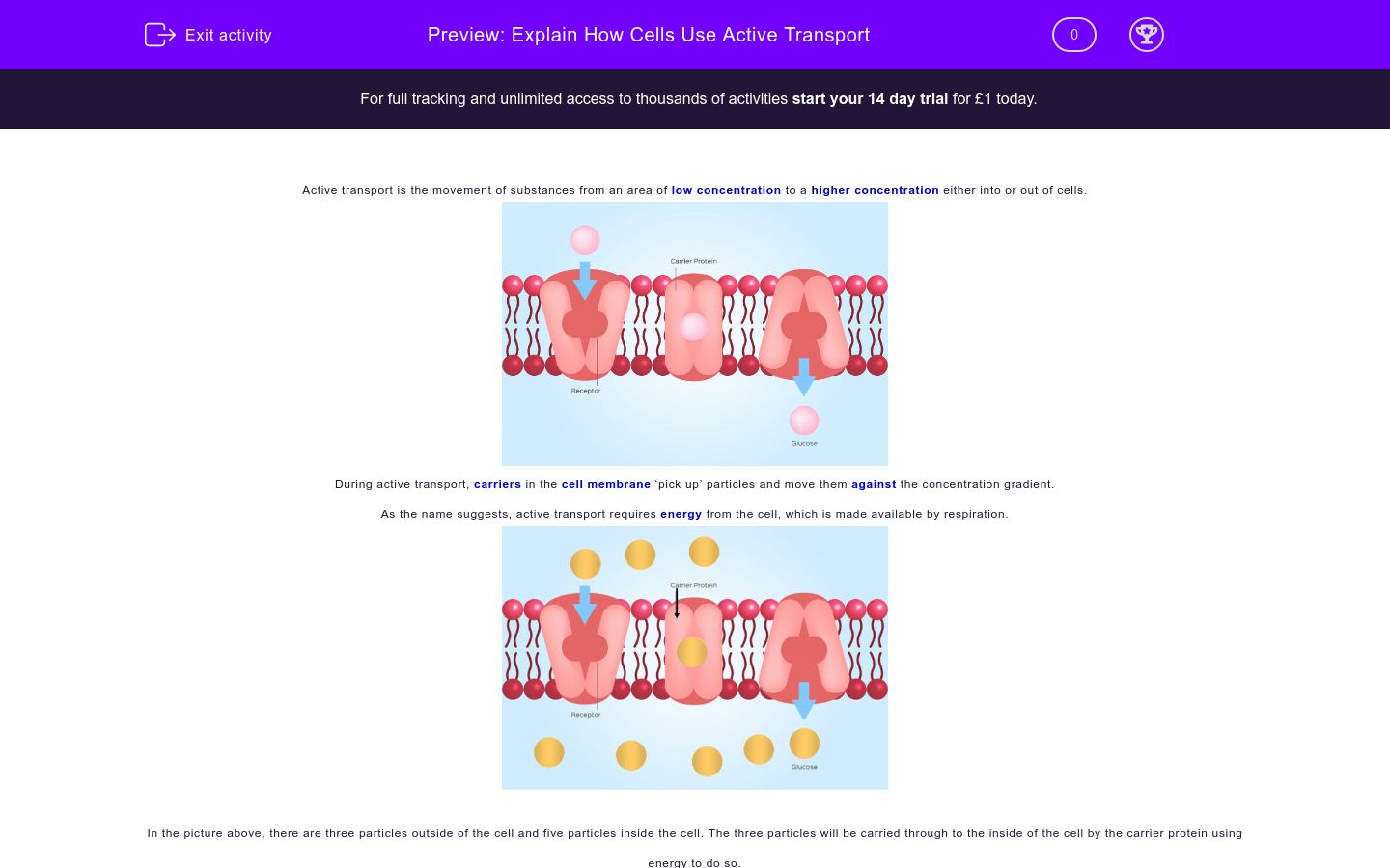 Explain How Cells Use Active Transport Worksheet EdPlace Explain How Cells Use Active Transport Worksheet EdPlace