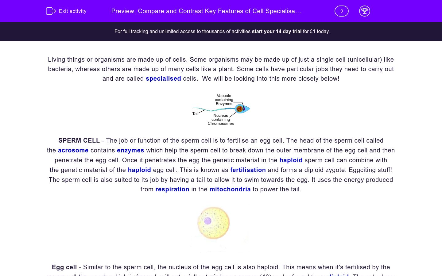 Compare and Contrast Key Features of Cell Specialisation Worksheet ...