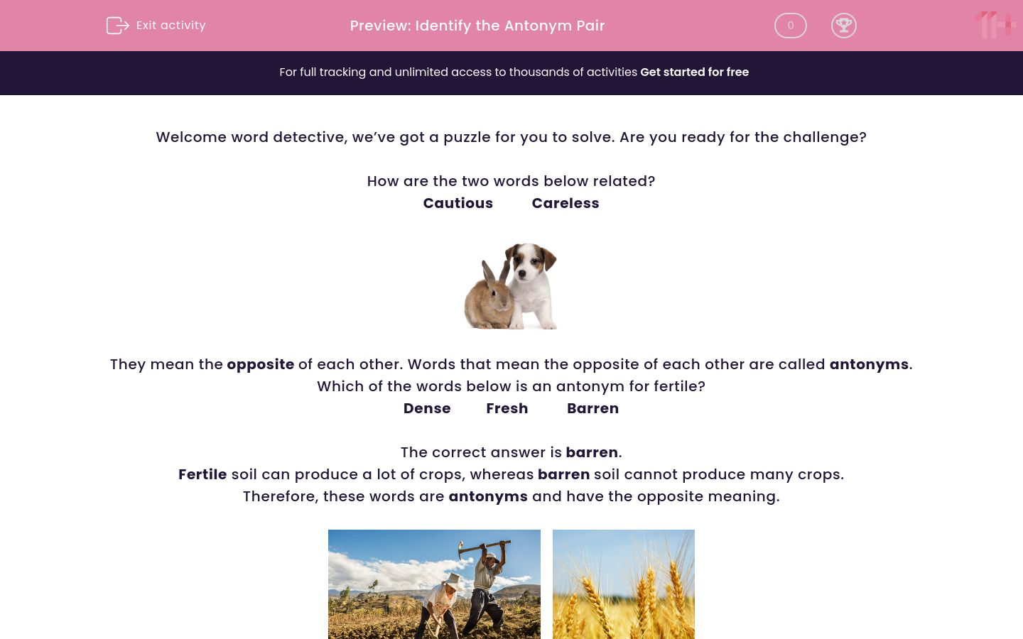 Identify the Antonym Pair Worksheet - EdPlace