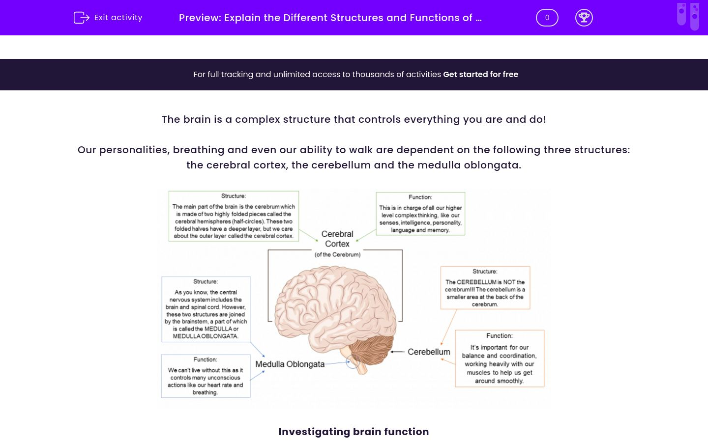 Explain The Different Structures And Functions Of The Brain Worksheet explain-the-different-structures-and-functions-of-the-brain-worksheet