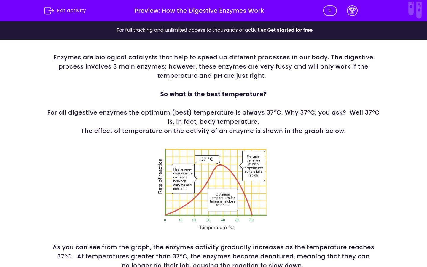 Explore the Role of Digestive Enzymes Worksheet - EdPlace