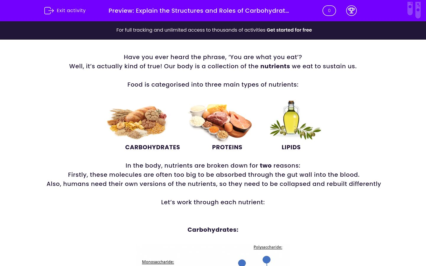 Explain the Structures and Roles of Carbohydrates, Proteins and Lipids ...