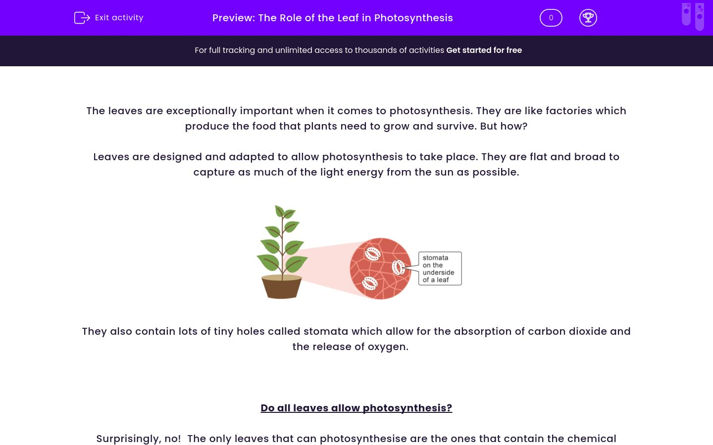 Explain the Role of the Leaf in Photosynthesis Worksheet - EdPlace