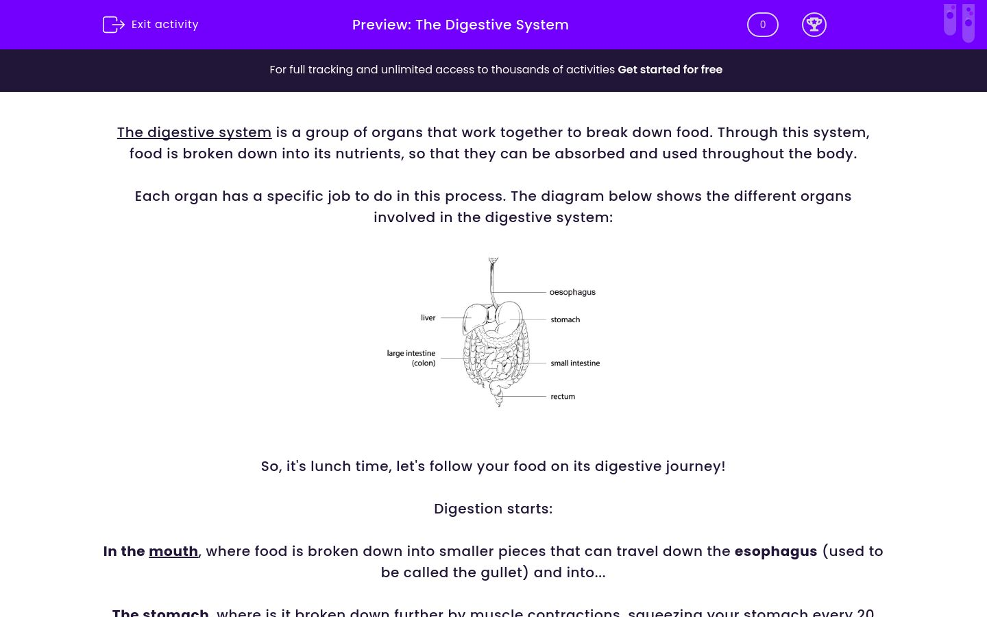 Understand the Digestive System Worksheet - EdPlace