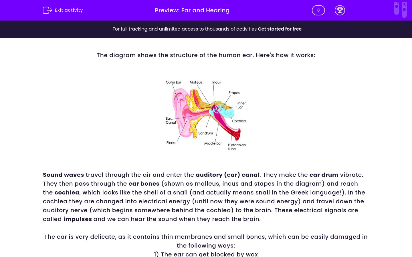 Explain How the Ear Works Worksheet - EdPlace