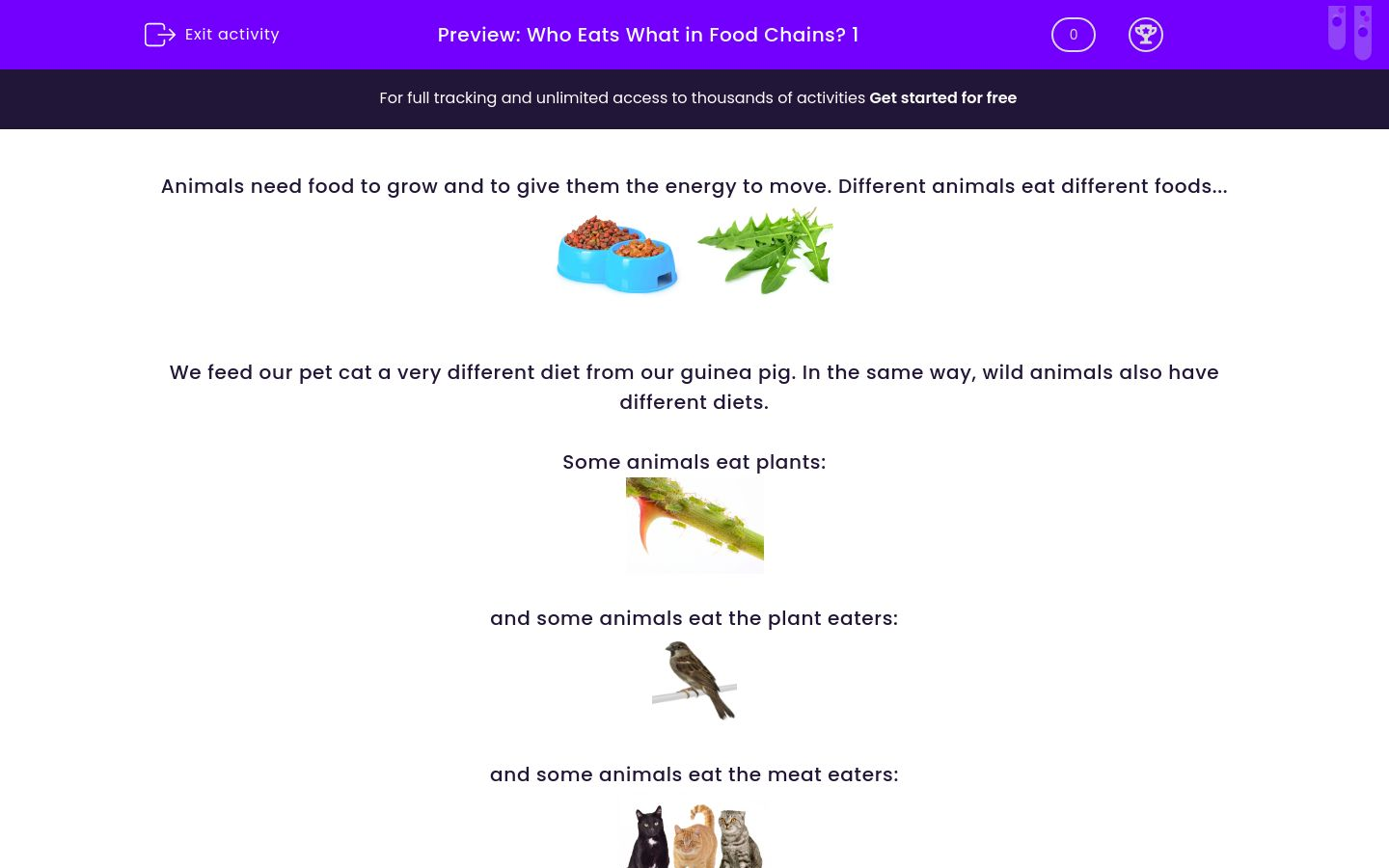 Understand What Different Animals Eat Worksheet - EdPlace