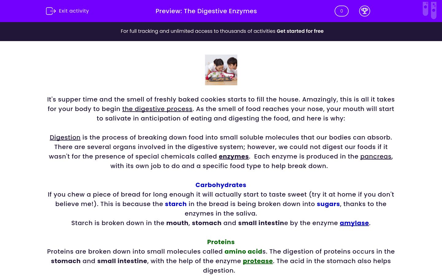 Explain What Digestive Enzymes Are Worksheet - EdPlace