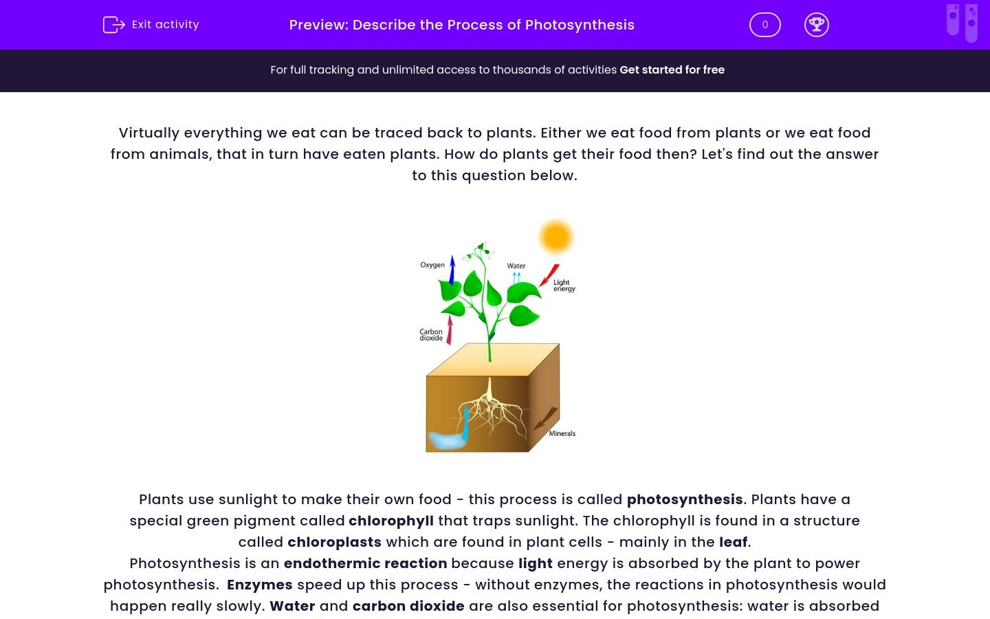 Describe the Process of Photosynthesis Worksheet - EdPlace
