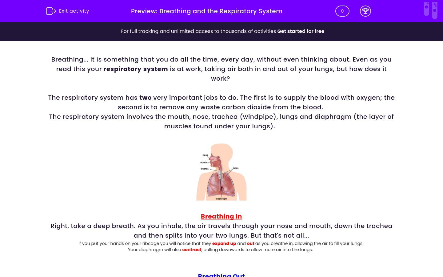 Describe the Breathing System Worksheet - EdPlace