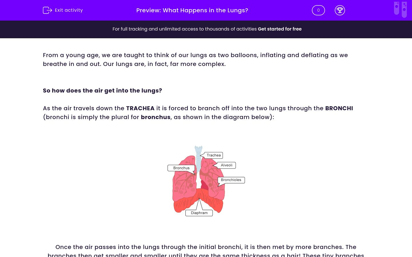 Explore What Happens in the Lungs Worksheet - EdPlace