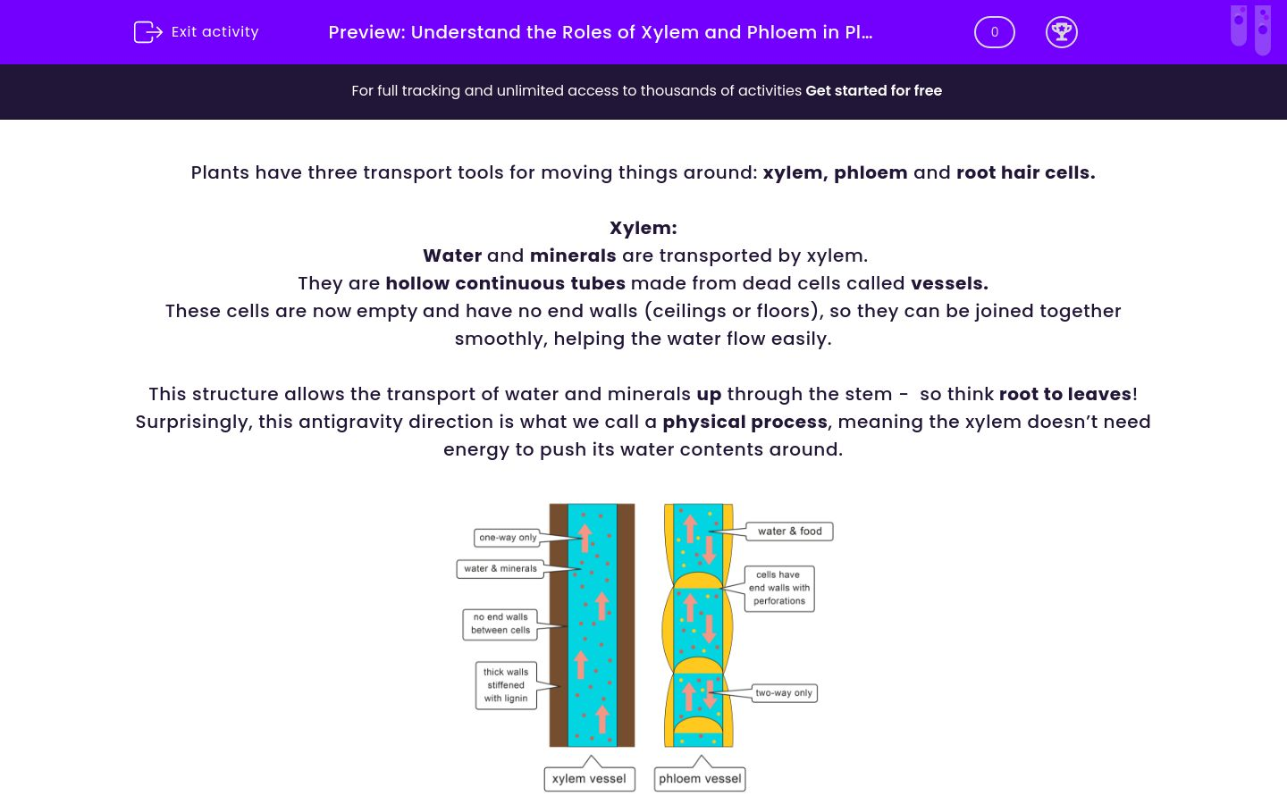 Xylem And Phloem Reading Worksheets Spelling Grammar