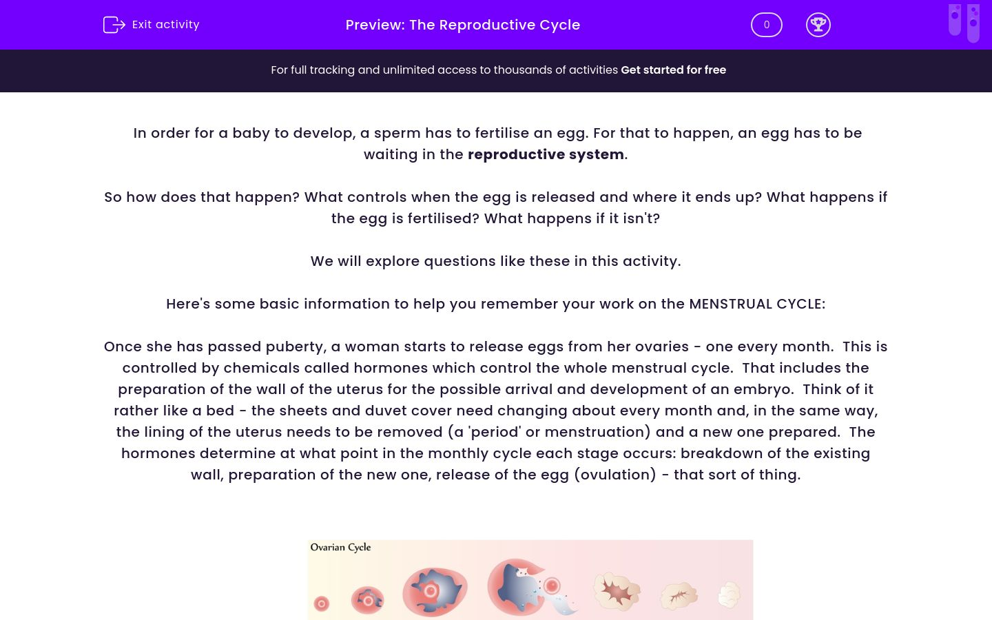 Describe the Female Reproductive Cycle Worksheet - EdPlace