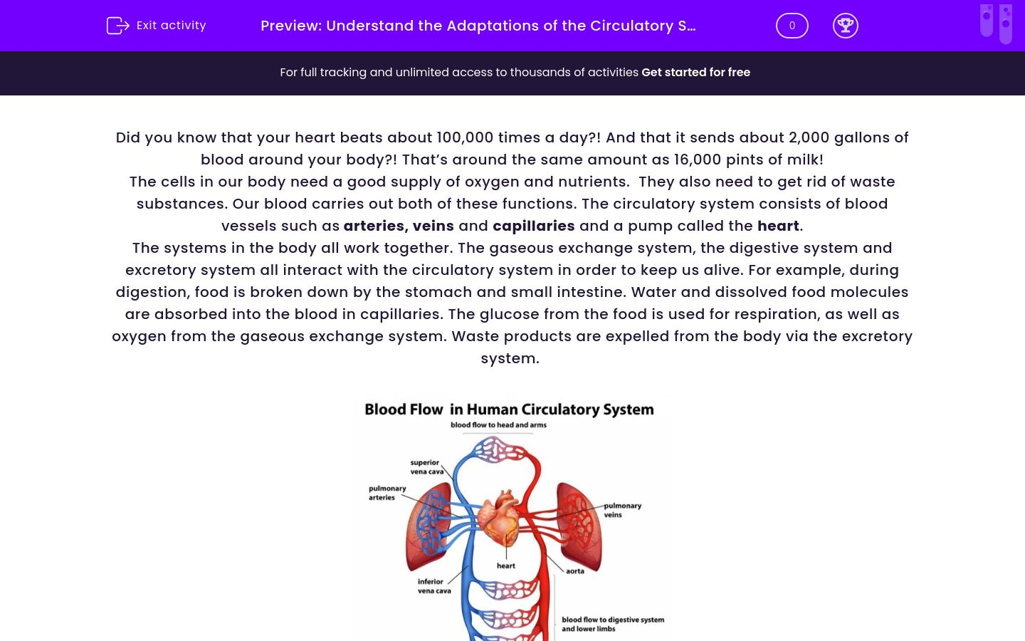 Understand the Adaptations of the Circulatory System Worksheet - EdPlace