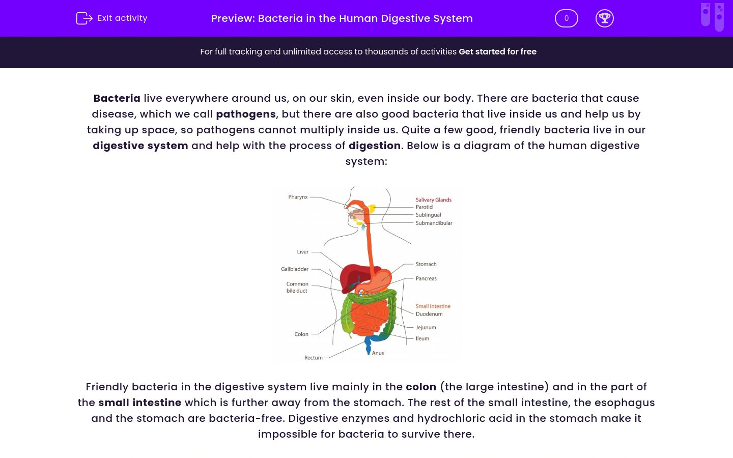 Discuss the Role of Bacteria in the Human Digestive System Worksheet ...