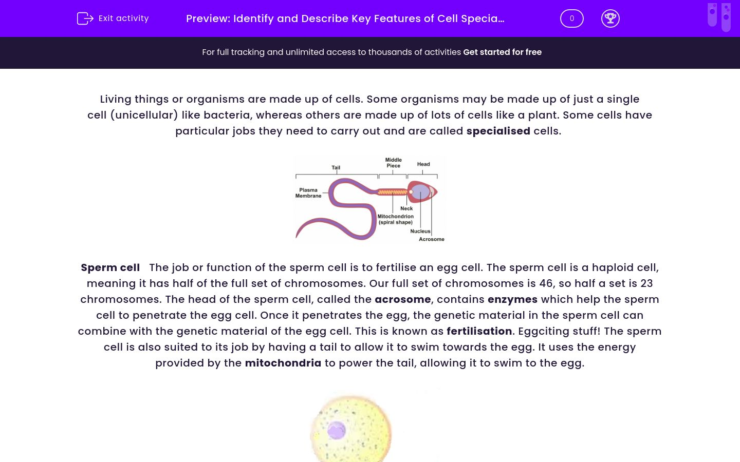 Identify and Describe Key Features of Cell Specialisation Worksheet ...