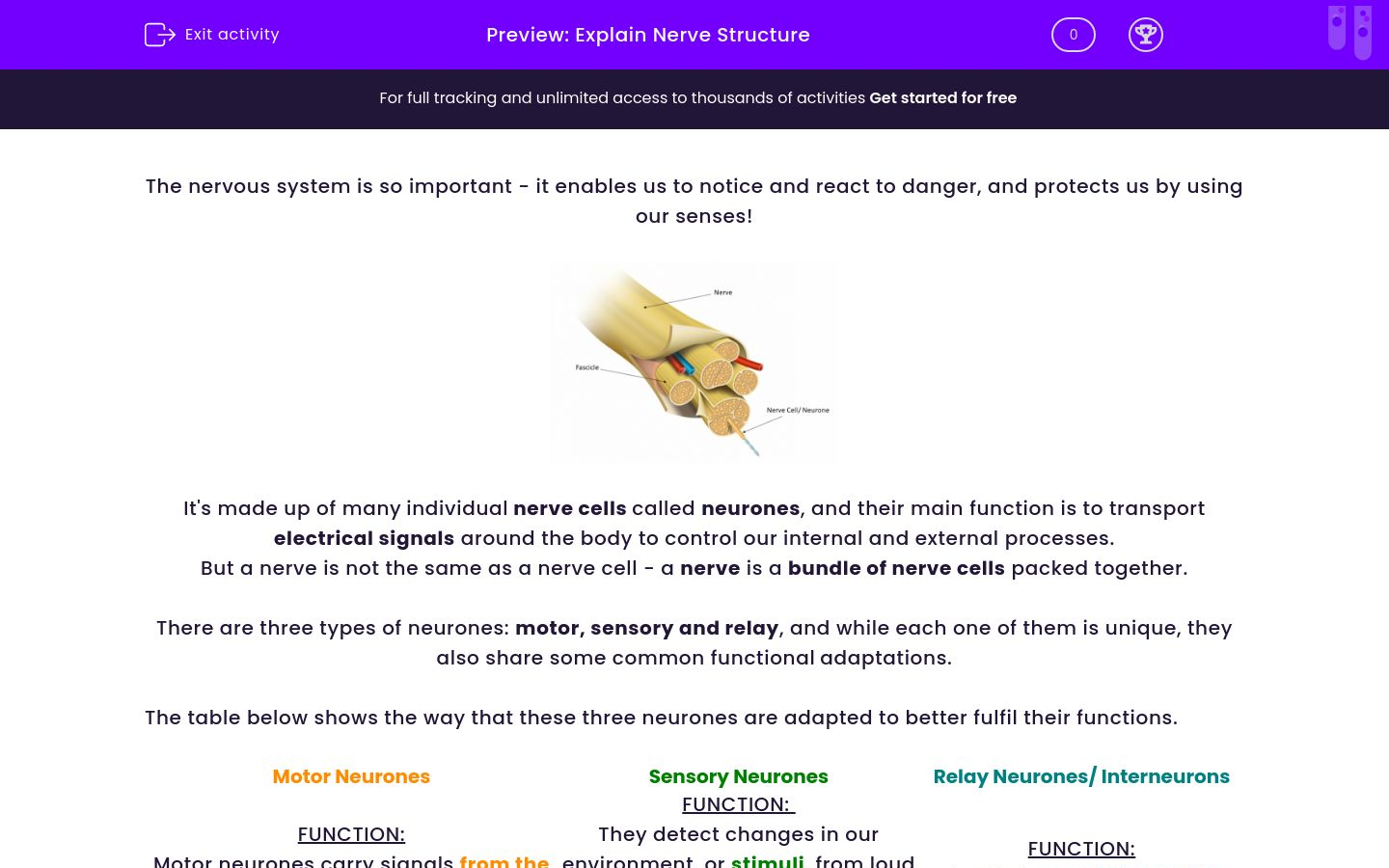 Explain Nerve Structure Worksheet - EdPlace
