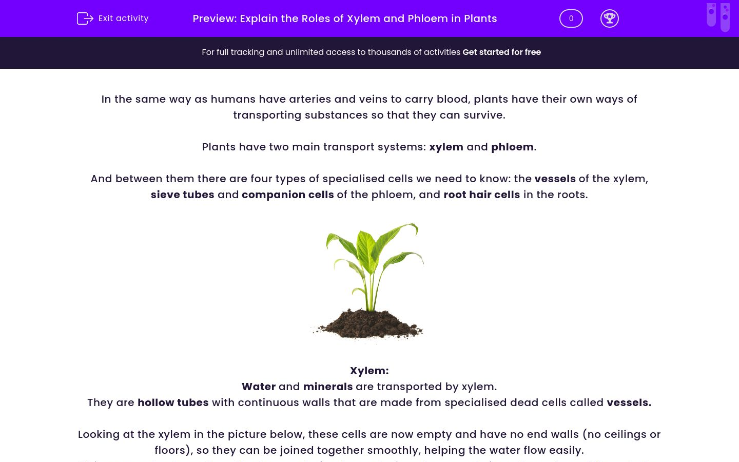 Xylem And Phloem Reading Worksheets Spelling Grammar