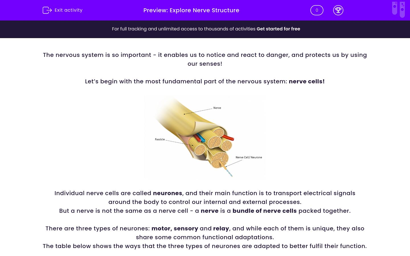 Explore Nerve Structure Worksheet - EdPlace