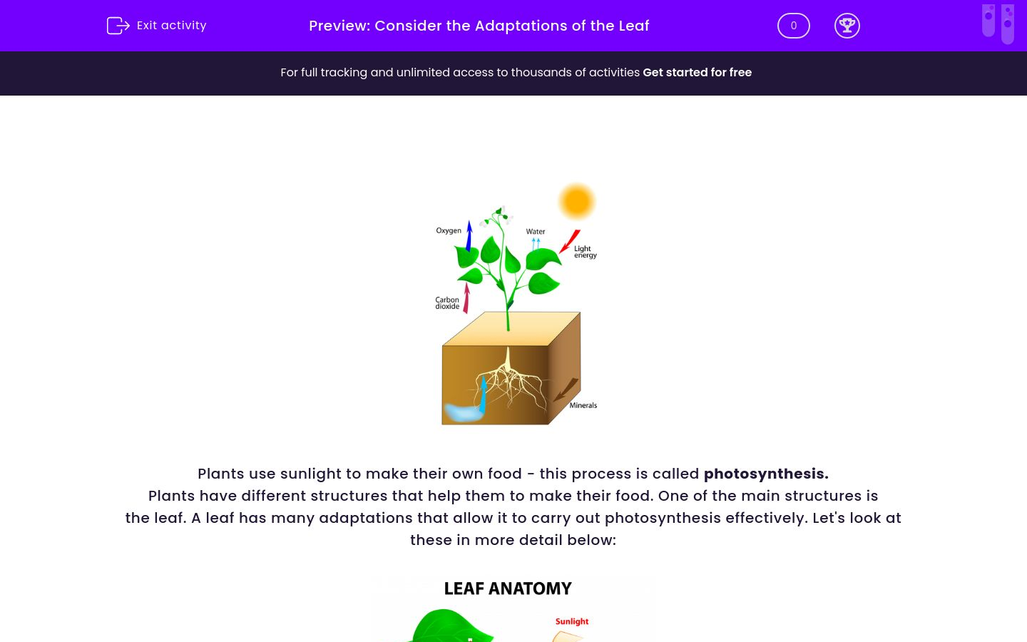 Consider the Adaptations of the Leaf Worksheet - EdPlace