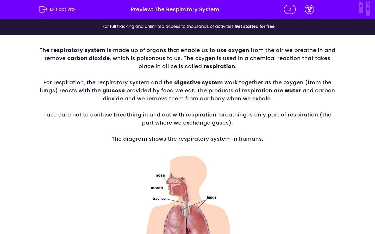 Investigate the Respiratory System Worksheet - EdPlace