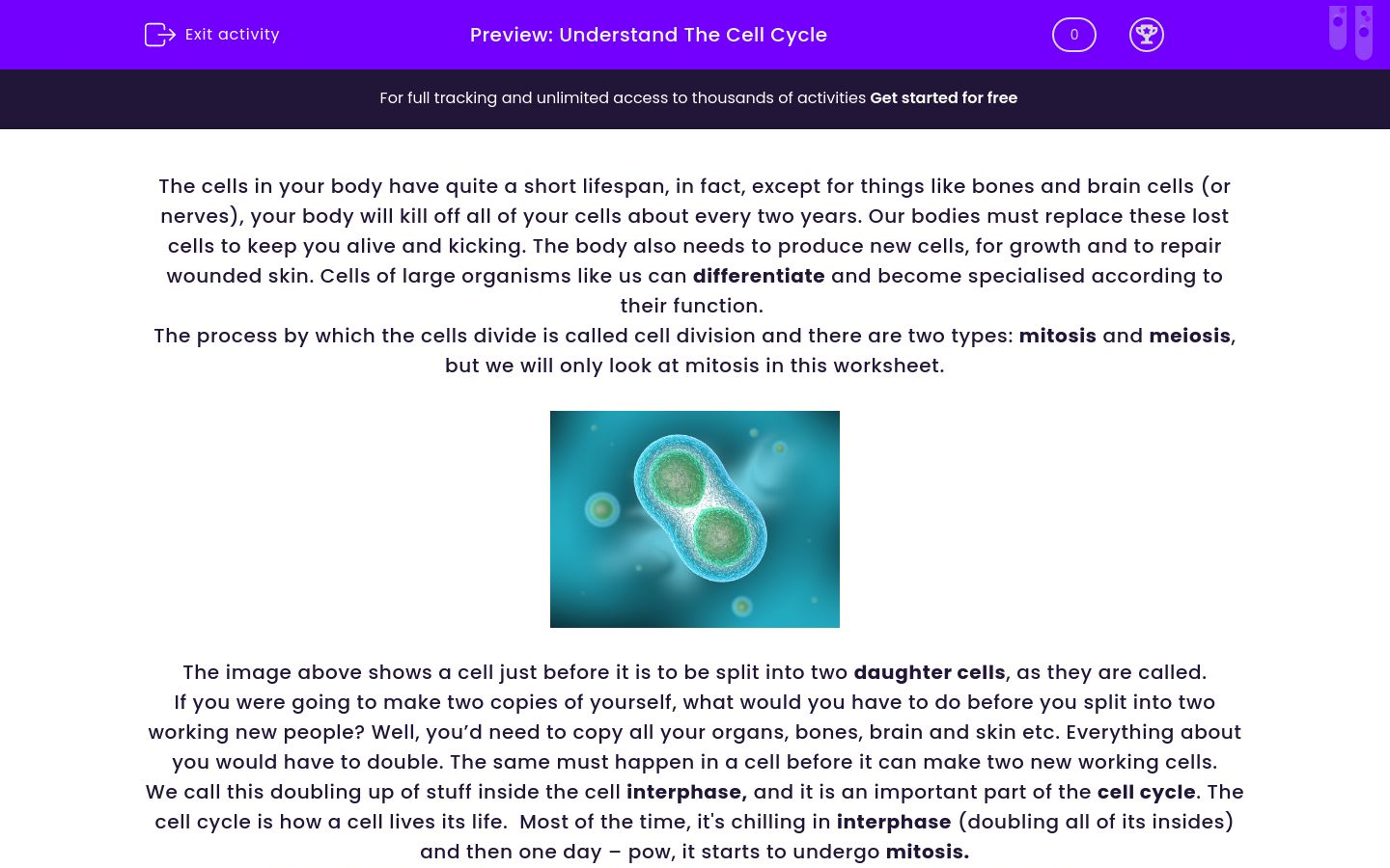 Understand The Cell Cycle Worksheet - EdPlace