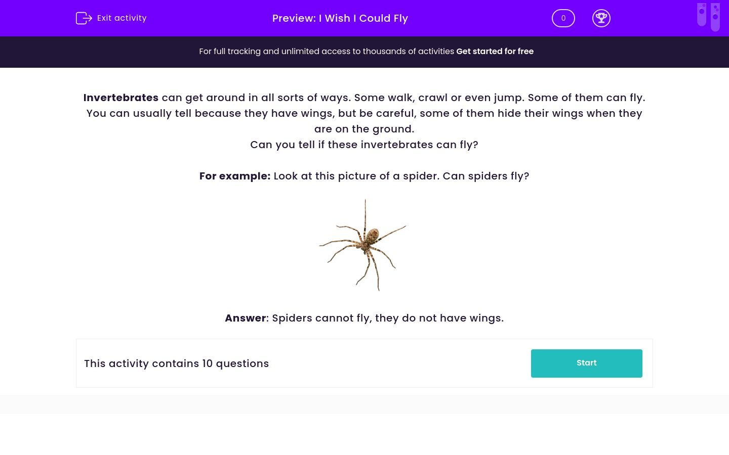 Identify Invertebrates That Can Fly Worksheet - EdPlace