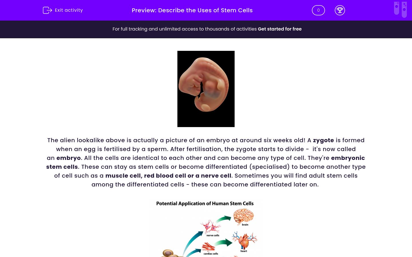 Describe the Uses of Stem Cells Worksheet - EdPlace