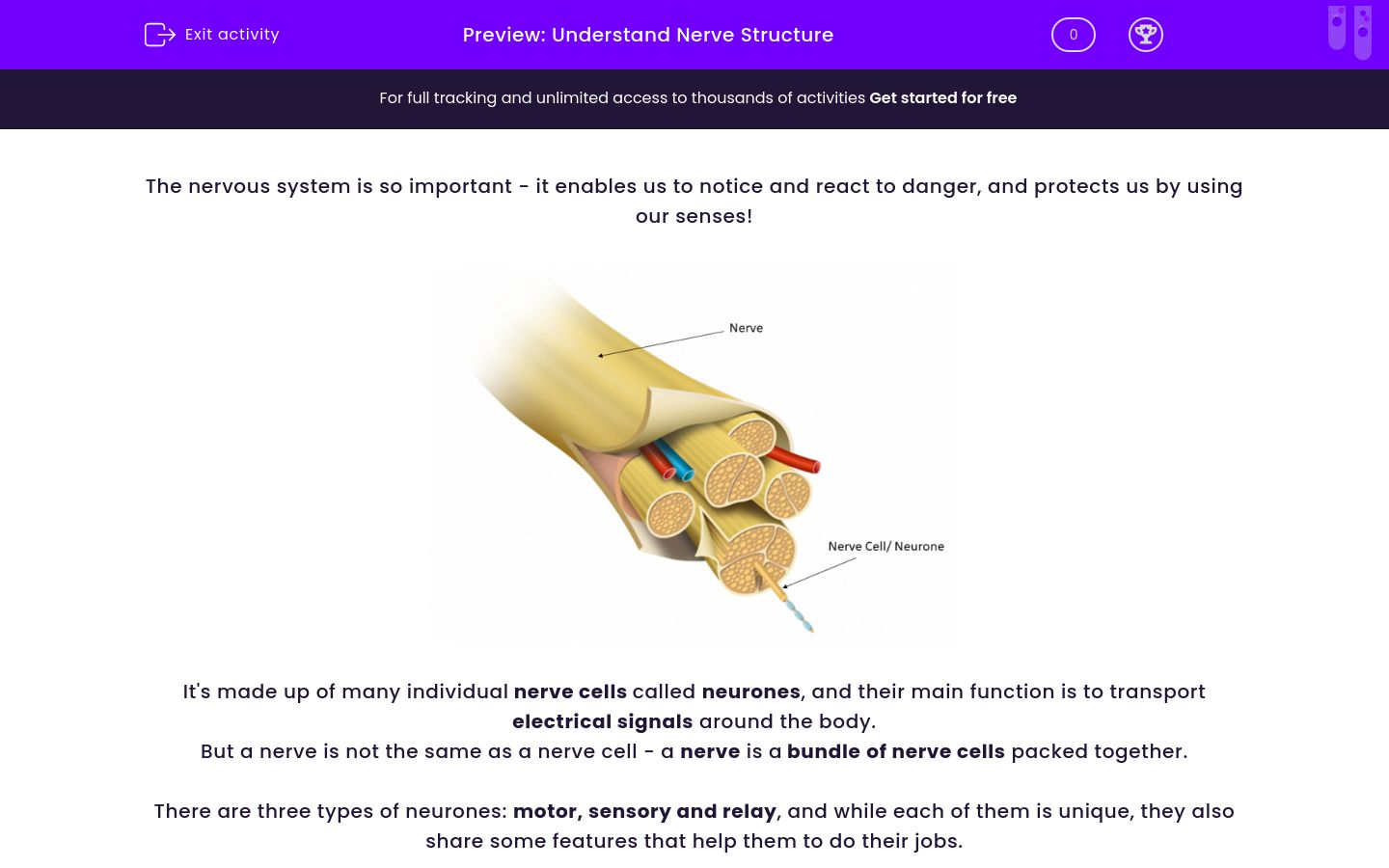 Understand Nerve Structure Worksheet - EdPlace