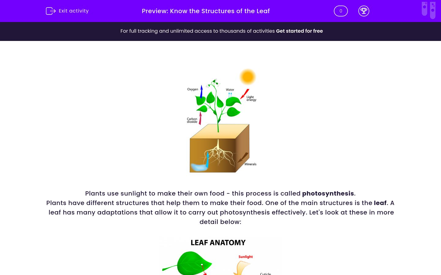 Know the Structures of the Leaf Worksheet - EdPlace