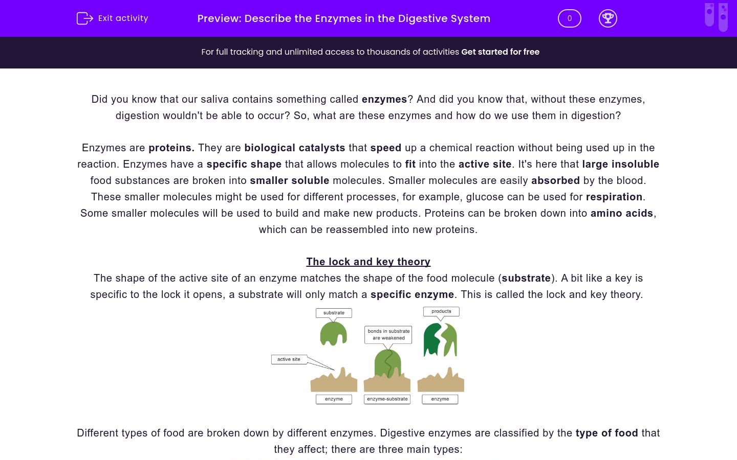 Describe the Enzymes in the Digestive System Worksheet - EdPlace