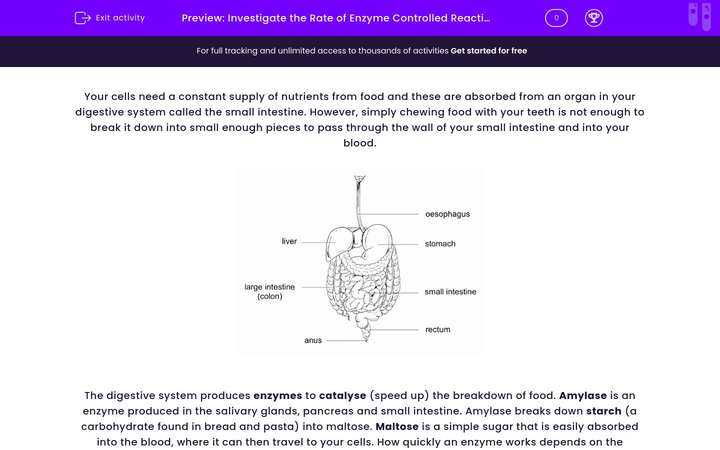 Investigate the Rate of Enzyme Controlled Reactions Worksheet - EdPlace