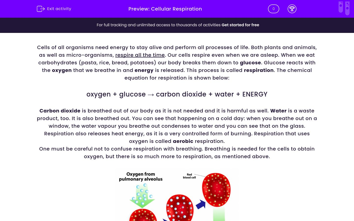 Explain the Process of Cellular Respiration Worksheet - EdPlace
