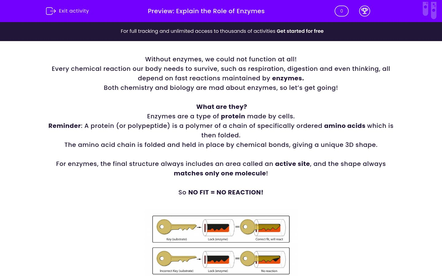Explain the Role of Enzymes Worksheet - EdPlace