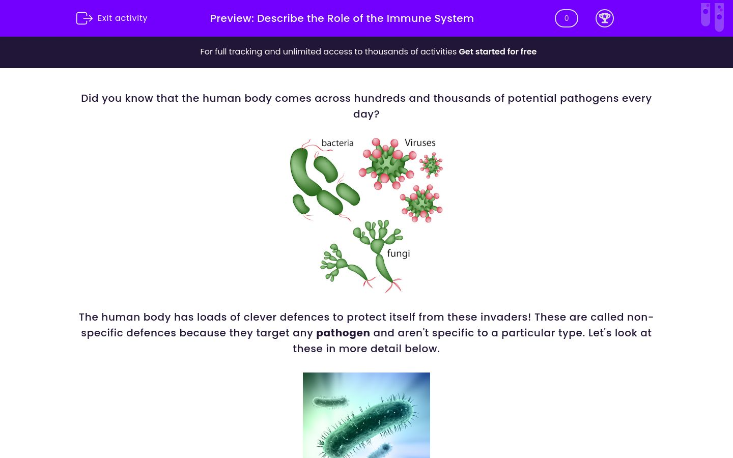 Describe the Role of the Immune System Worksheet - EdPlace