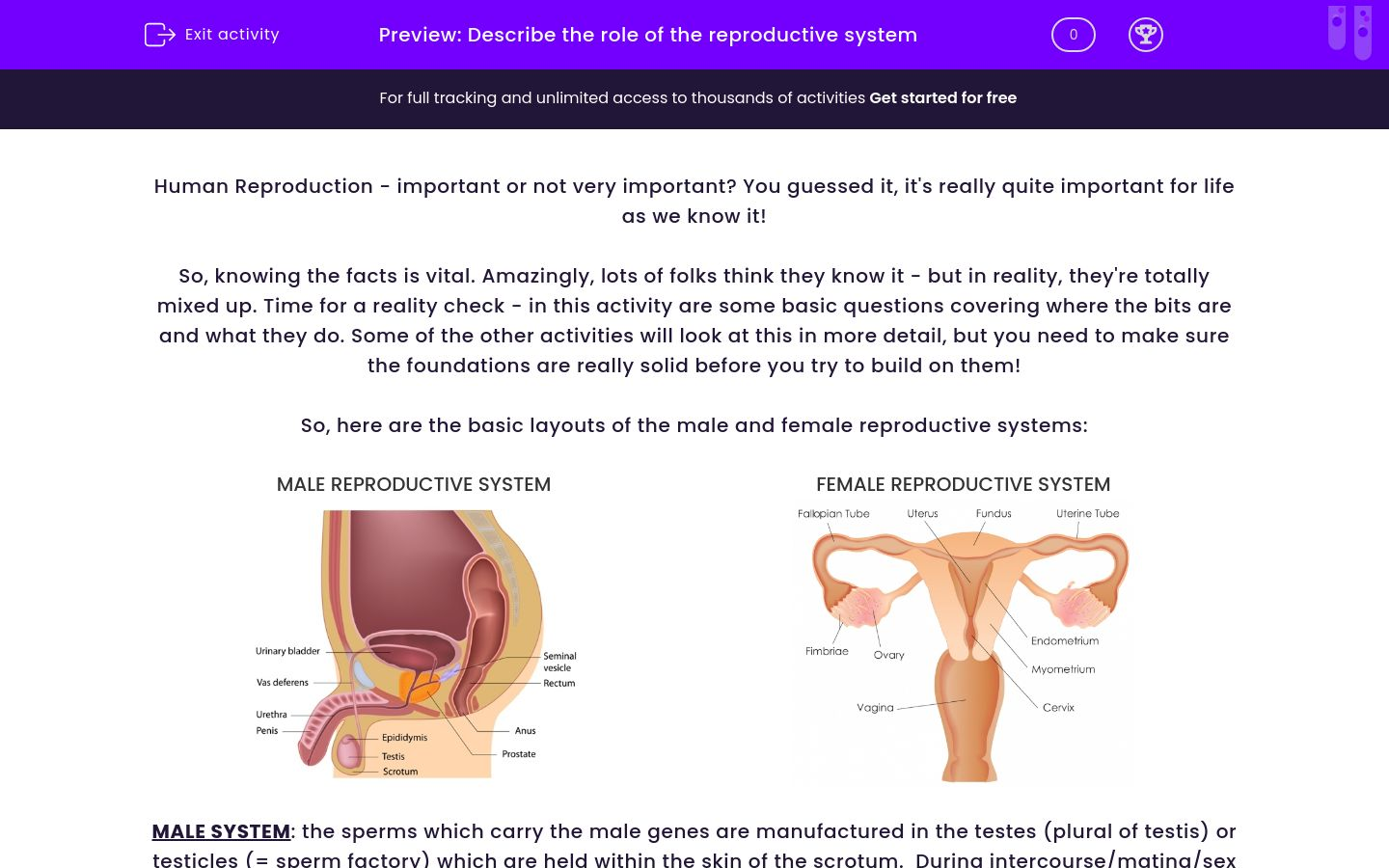 Describe the Role of the Reproductive System Worksheet - EdPlace