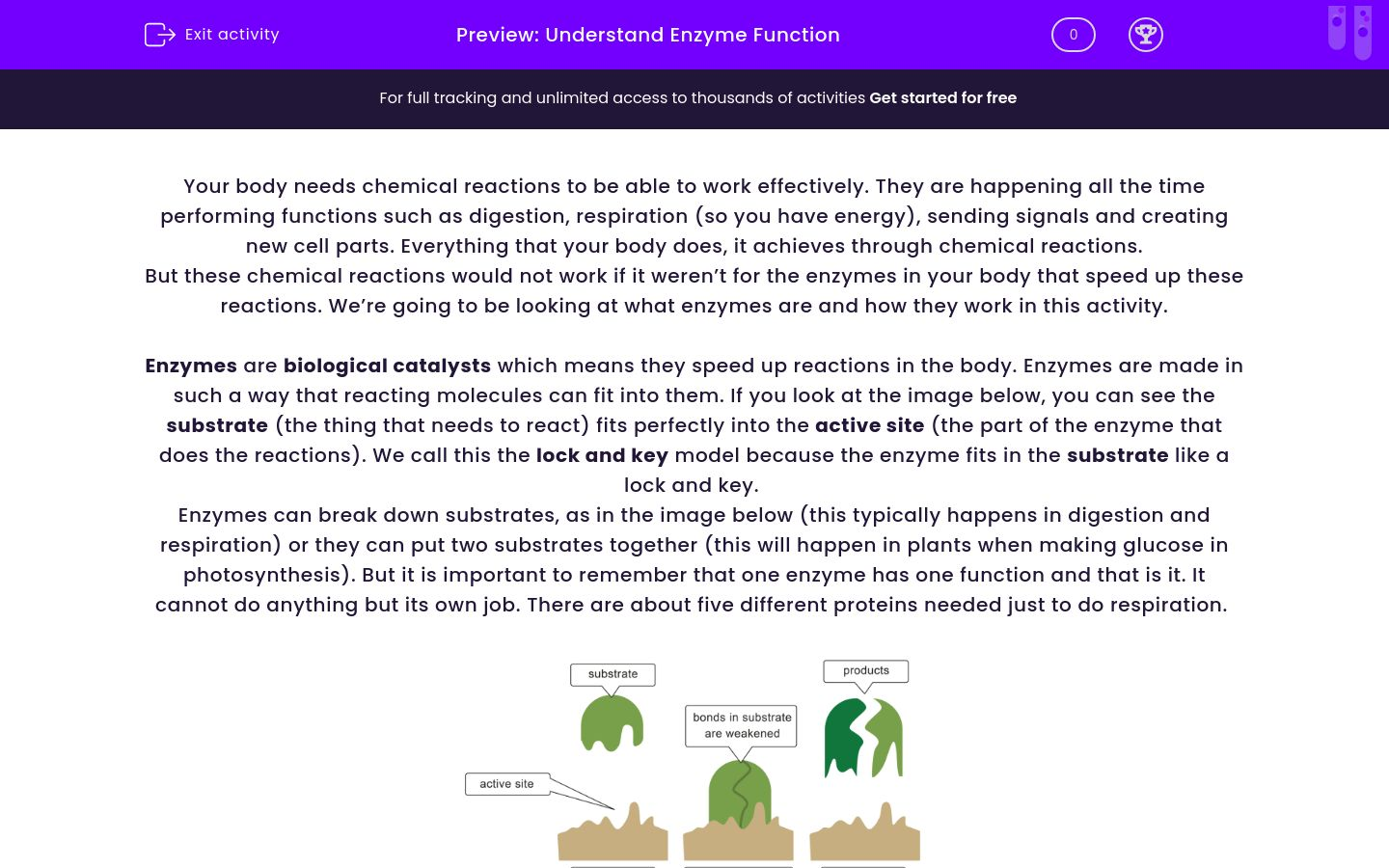 Understand Enzyme Function Worksheet - EdPlace