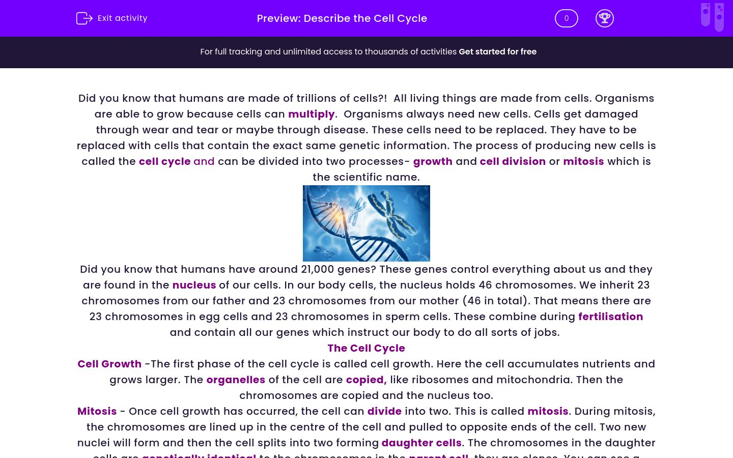 Describe the Cell Cycle Worksheet - EdPlace