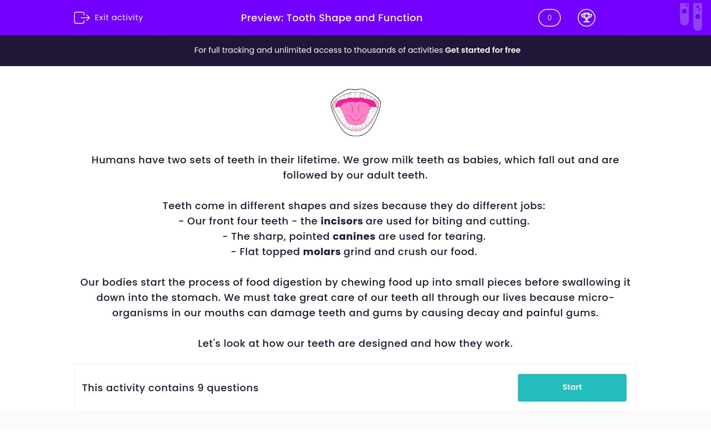 Explore Tooth Shape and Function Worksheet - EdPlace