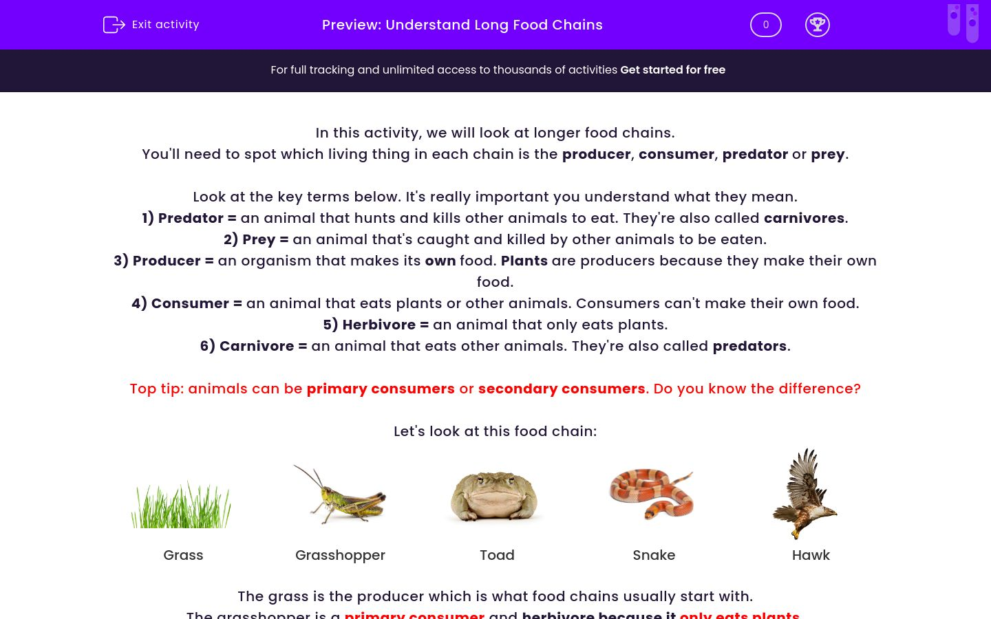 Understand Long Food Chains Worksheet - EdPlace